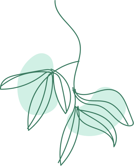 Salt&People – 쏠트앤피플